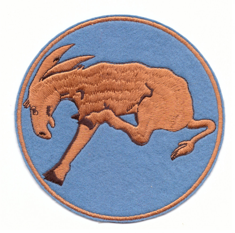 US Air Force WW2 Doolittle 95th Bomb Squadron PATCH - imilit